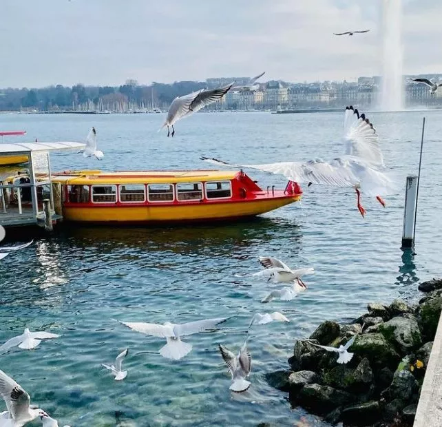 Que visiter a Genève en 1 jour ? - Evangeline Lilly